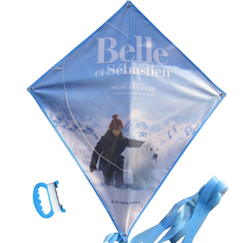 Diamond Shaped Polyester Kite,Kites